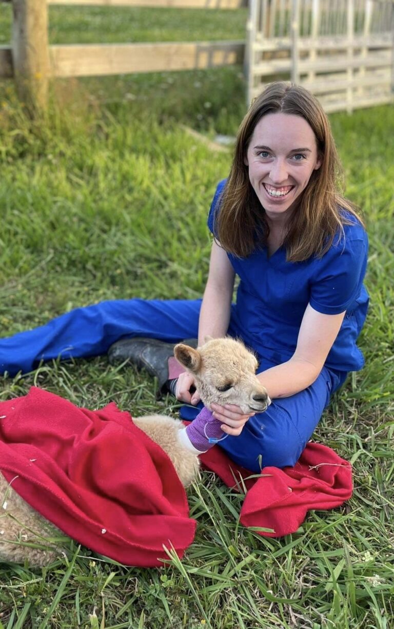 Introducing Bekky, she joined NVG May 2025 - Northland Veterinary Group